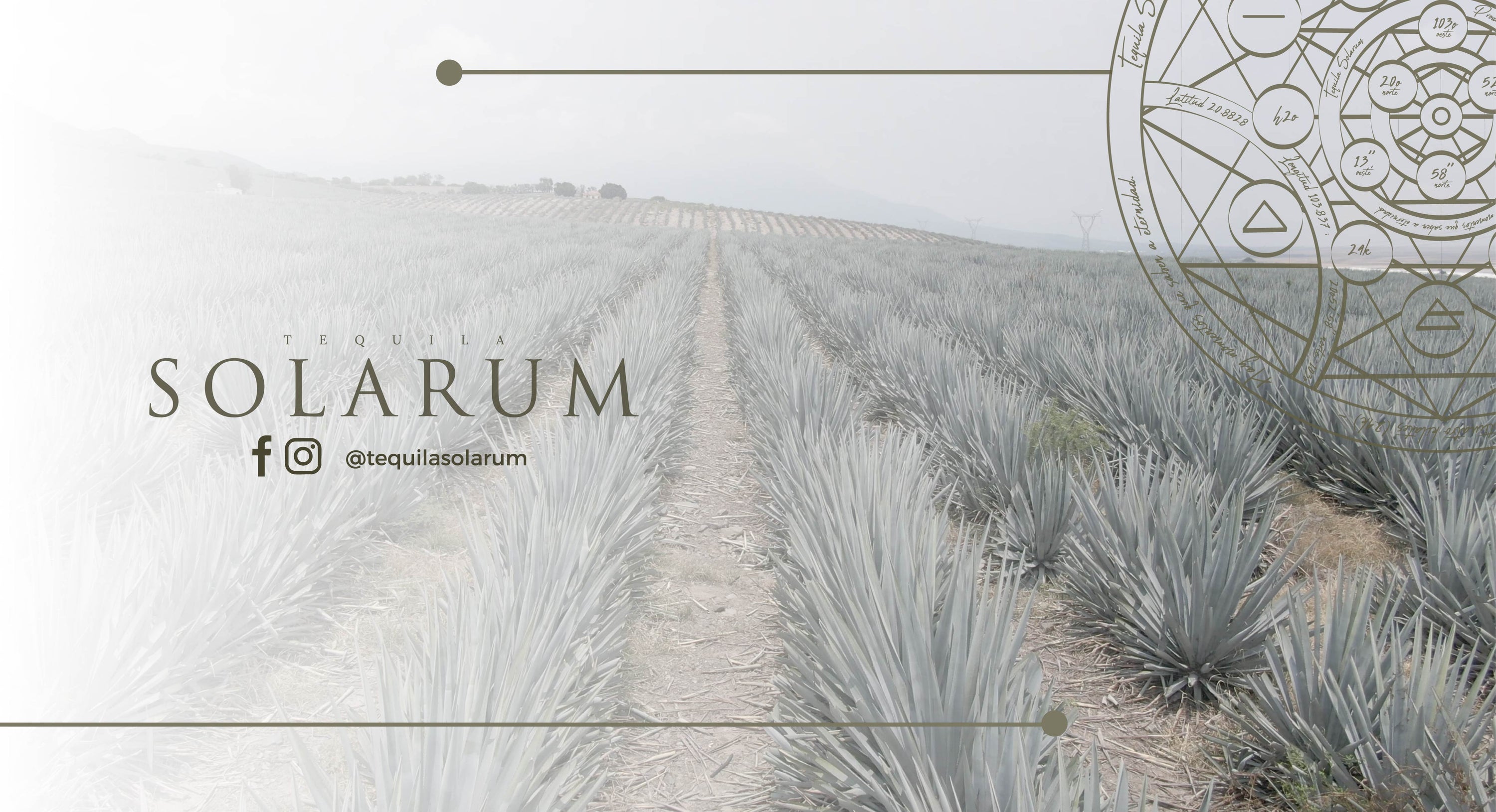 Tequila Solarum | Tequila con Oro de 24K – TEQUILA SOLARUM