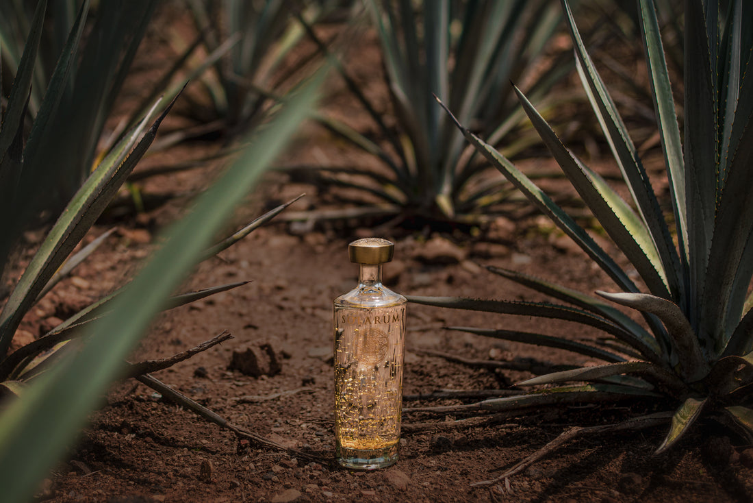 Tequila Solarum | Tequila con Oro de 24K – TEQUILA SOLARUM